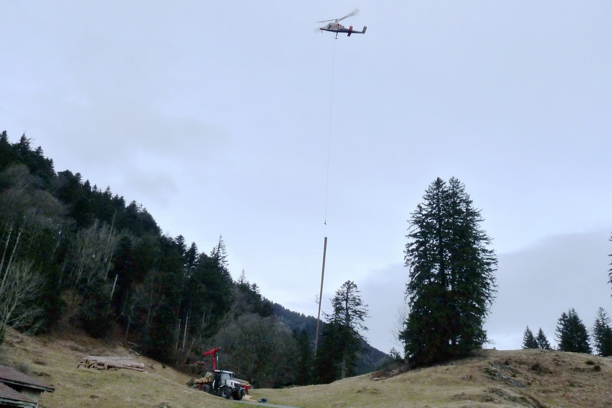 Holzen mit dem Heli | Ortsgemeinde Wartau